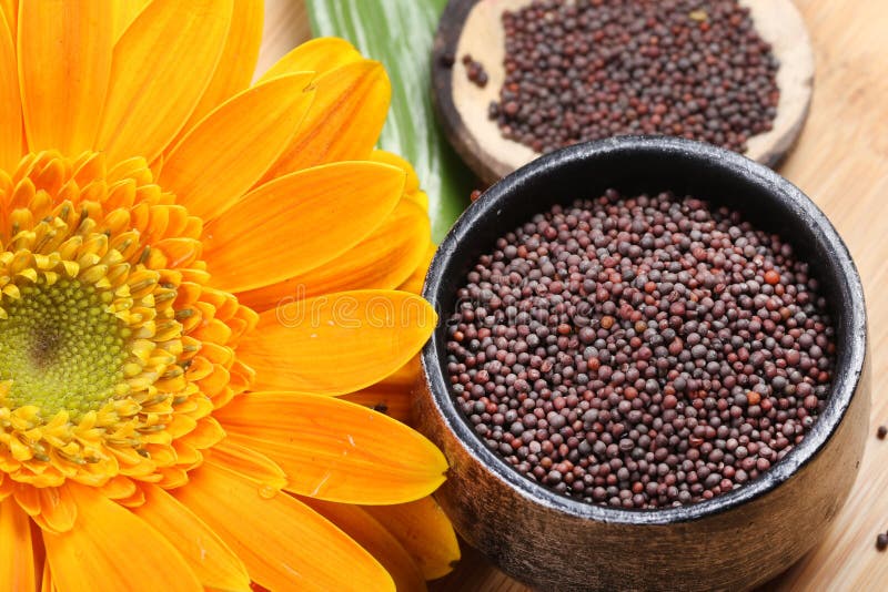 De zaden van de mosterd stock foto. Image of gezond - 122328090
