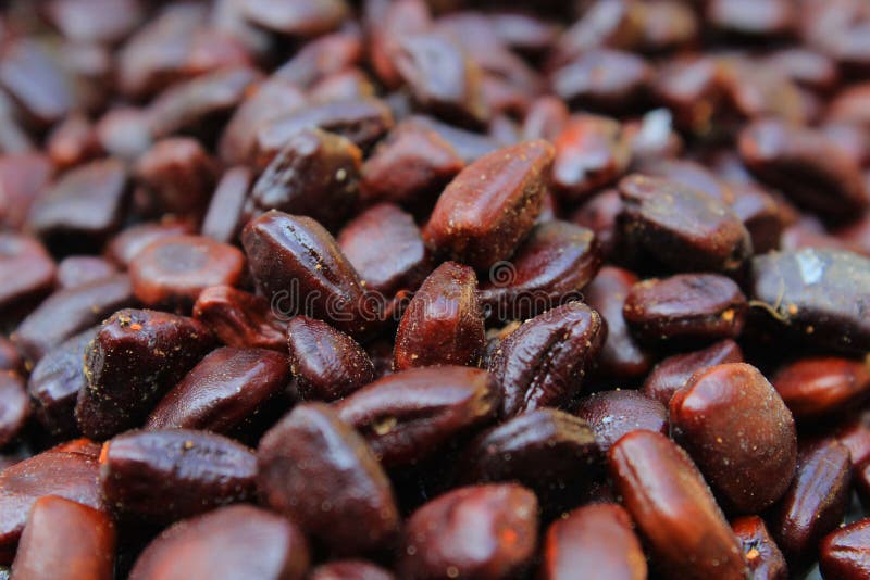 Tamarindeboom Met Klaar Om Vruchten Te Plukken Stock Foto - Image of ...