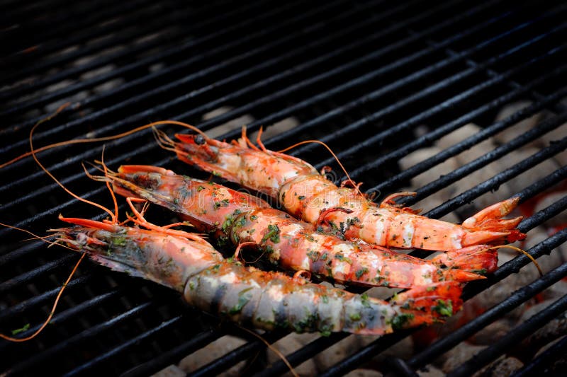 Noorwegen Lobster Dublin Bay Prawn Cigala Delicious Zeevruchten Vanuit ...