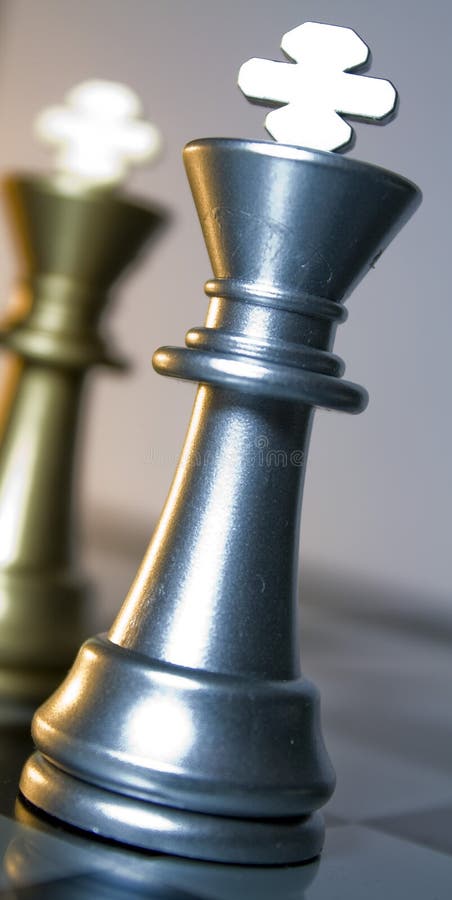 Team Van Zilveren Schaakfiguren Koning Koningin Bisschop Knight Rook En ...