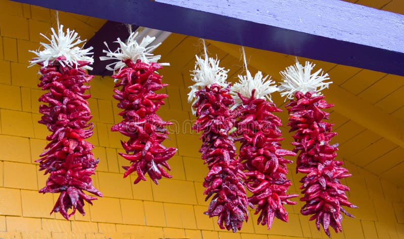 De Zuidwestelijke Spaanse Peper Van De V.S. Stock Foto - Image of ...