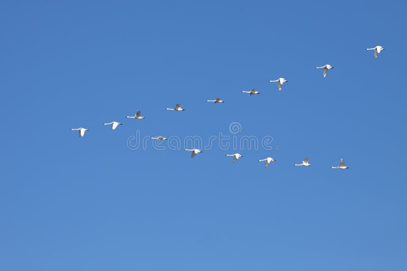 Diepe Blauwe Hemel Met De Witte Wolken Van Wispy Stock Afbeelding ...