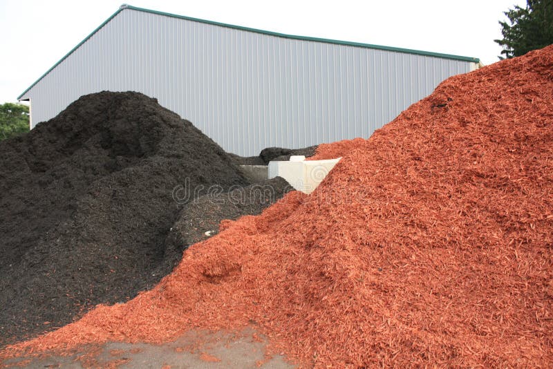 De Zwarte En Rode Muls Van De Kleurstof Stock Foto - Image of mest ...