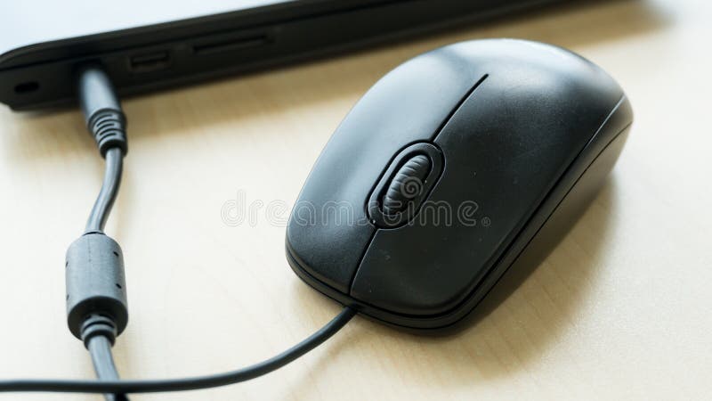 De Zwarte Enige Muis Verbindt Met Computer Stock Afbeelding - Image of ...