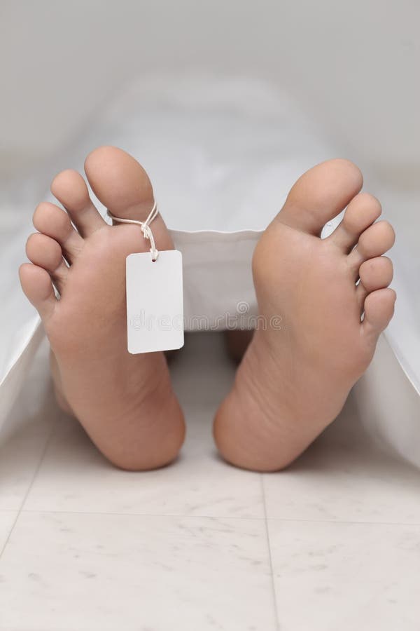 Dead body at a morgue stock photo. Image of morgue, dead - 43818954