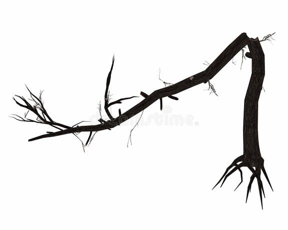 Broken Tree Trunk Stock Illustrations – 374 Broken Tree Trunk Stock ...