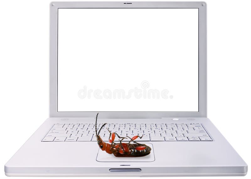 Dead Bug on a Laptop stock photo. Image of copyspace, error - 9796944