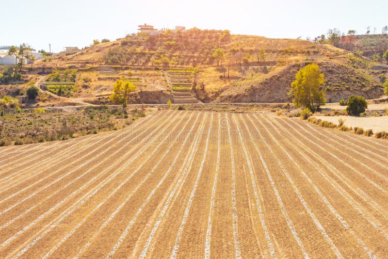 Dead Crops in the Fields, Plowed Rows of Dehydrated Fertile Layer Stock ...
