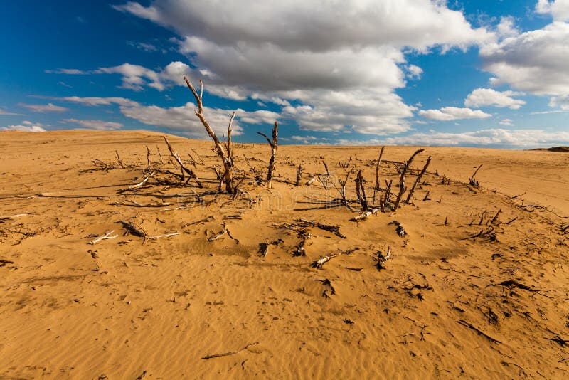 Dead Desert Landscape. Gobi Desert Stock Image - Image of mongolia ...