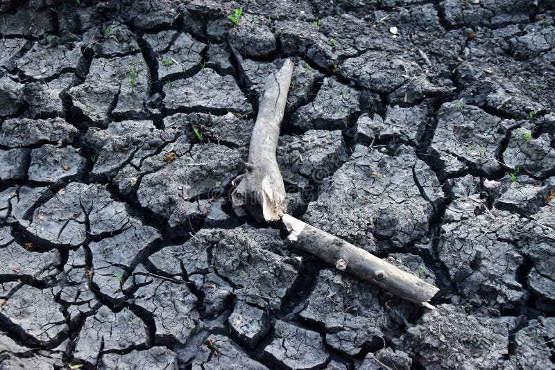 Dead soil stock image. Image of brown, dryness, barren - 22566739