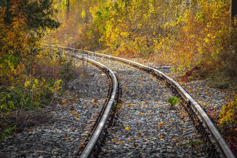 Branch of railway tracks stock photo. Image of countryside - 170379422
