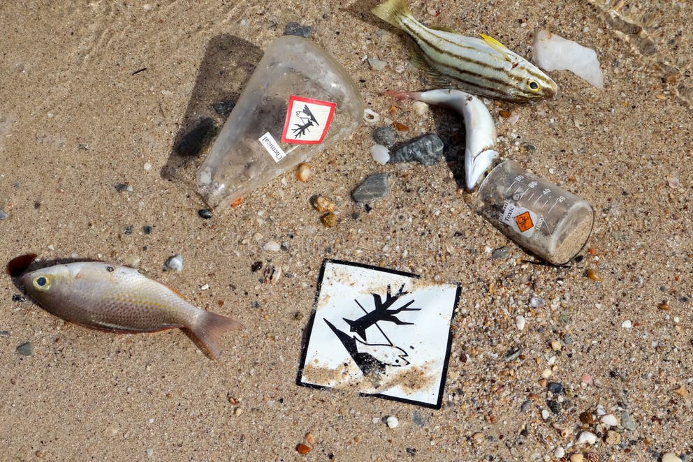 Dead Fish by Dangerous Chemicals Stock Photo - Image of glass, danger ...