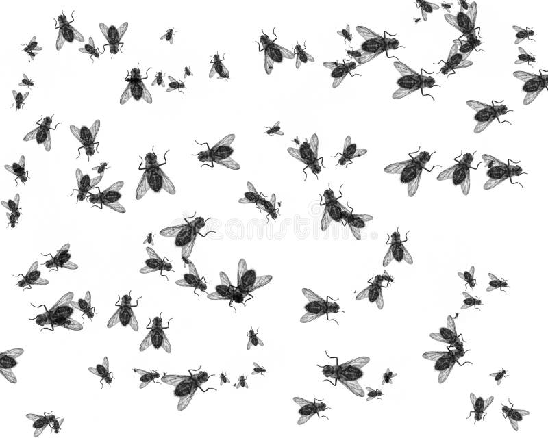 Swarm of Flies stock illustration. Illustration of arthropod - 5102782