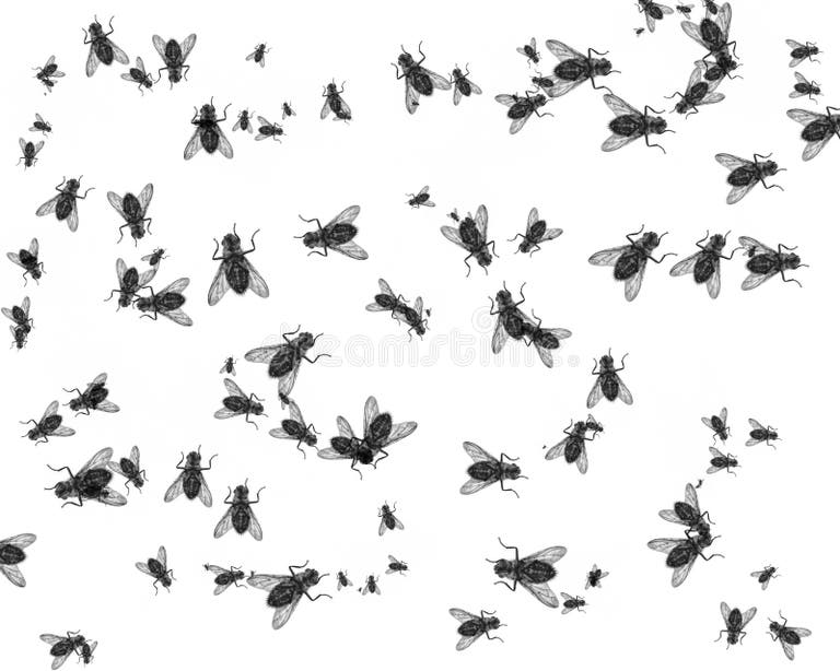 Dead Fly Stock Illustrations – 13,933 Dead Fly Stock Illustrations ...