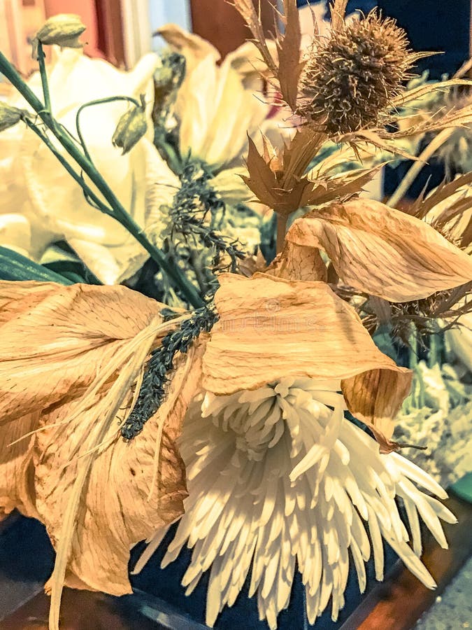 Dead Flowers Stock Photos - Download 18,627 Royalty Free Photos