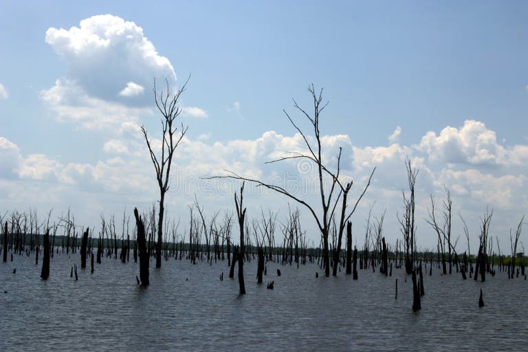 990 What Dead Deck Stock Photos - Free & Royalty-Free Stock Photos from ...