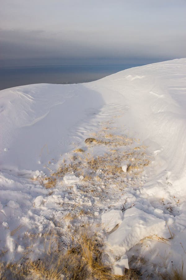 The dead grass stock image. Image of close, grass, frost - 54327285