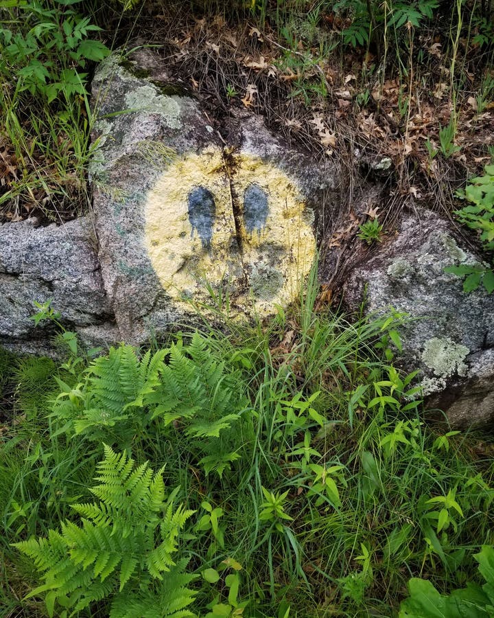 Dead happy face stock image. Image of happy, face, forest - 175646269