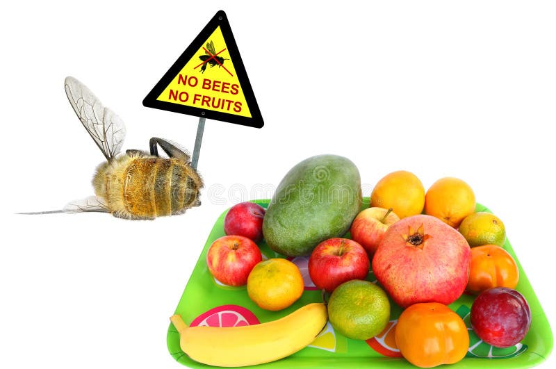 No bees - No Fruit stock photo. Image of crop, pollinate - 125020504