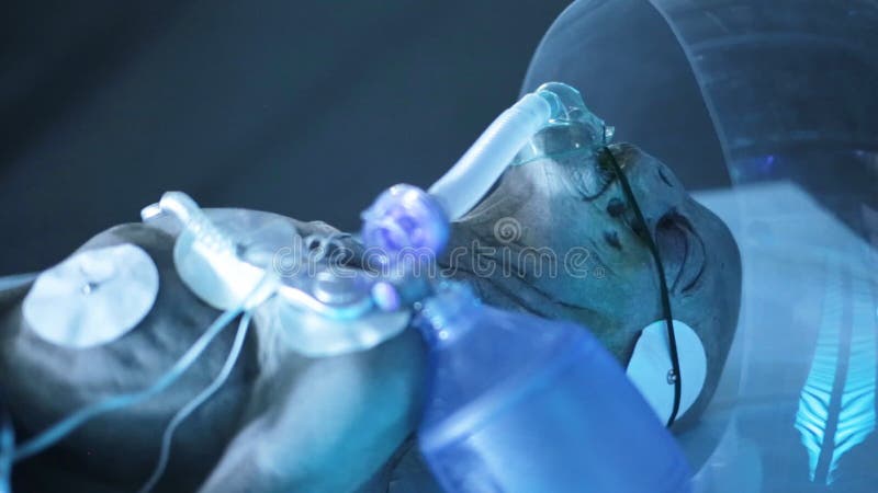 Realistic Humanoid Alien Dummy Stock Video - Video of realistic ...