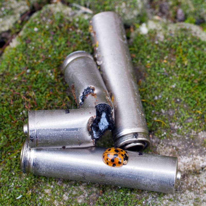 A Dead Insect on Batteries Thrown To the Ground. Stock Image - Image of ...