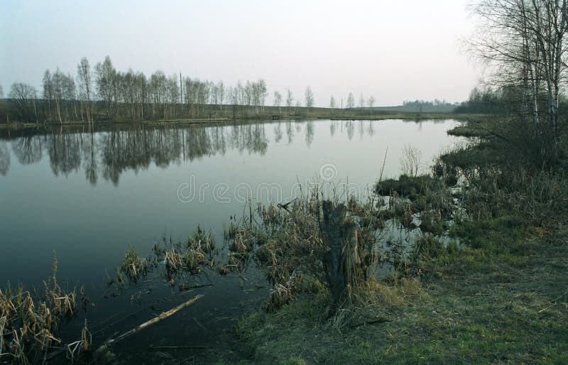 Dead Lake Picture. Image: 990178