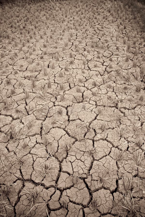 Dead land stock image. Image of agriculture, arid, dead - 19274817