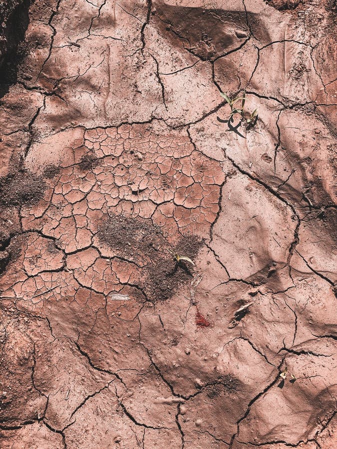 Dead land stock image. Image of land, dead, broken, soil - 202905185