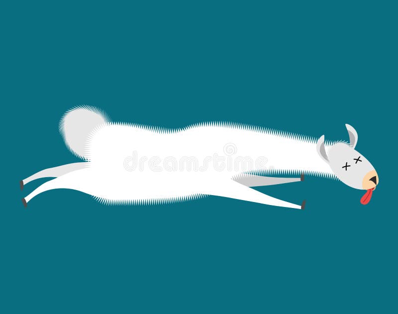 Dead Llama. Wild Beast is Dead Stock Vector - Illustration of desert, hair: 88033538