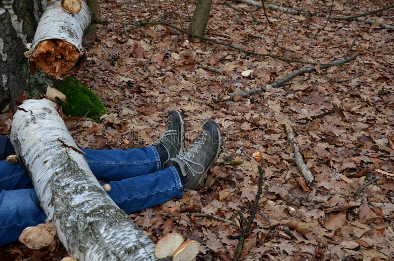 Dead Man Covered with a Tree. the Tree Turned Upside Down and Injured ...