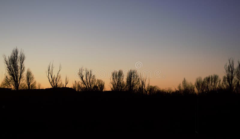 Dead Nature at the End of the Day Stock Photo - Image of broken, nature ...