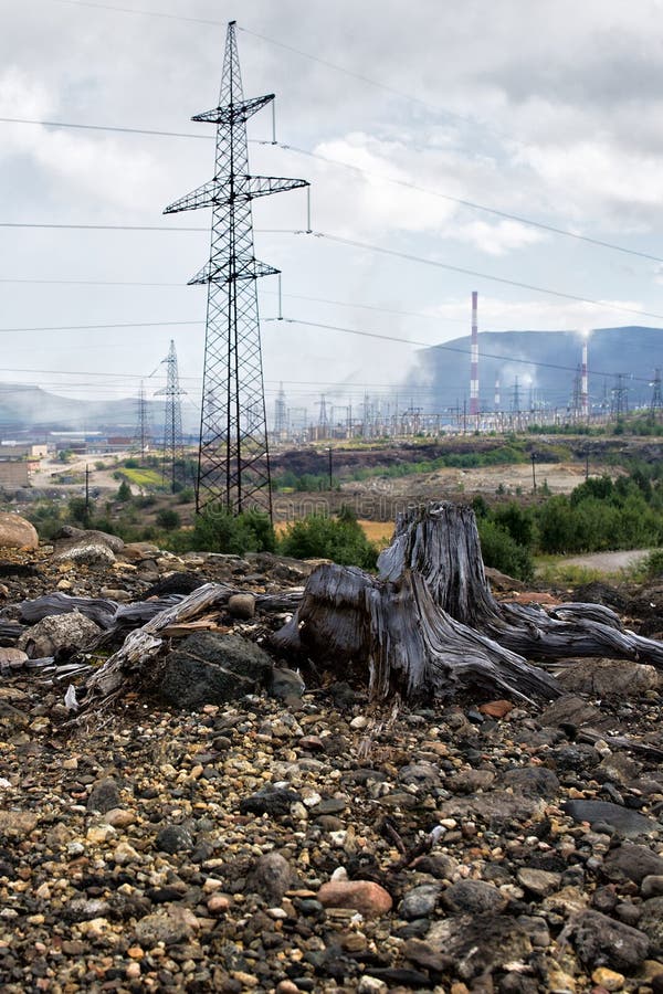 Dead nature stock image. Image of contrast, nature, pear - 16356885