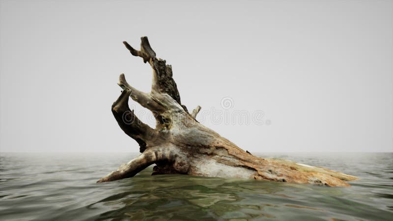 Dead Oak Tree in the Atlantic Ocean Water Stock Illustration ...