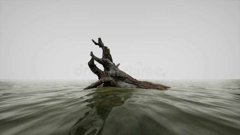 Dead Oak Tree in the Atlantic Ocean Water Stock Illustration ...