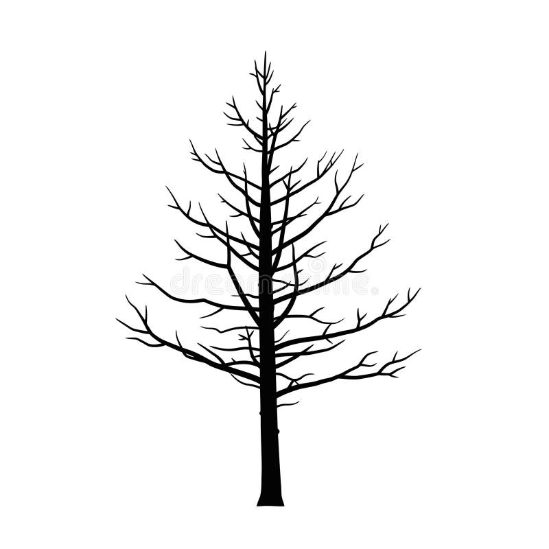 Dead pine tree silhouette stock vector. Illustration of shadow - 375721268