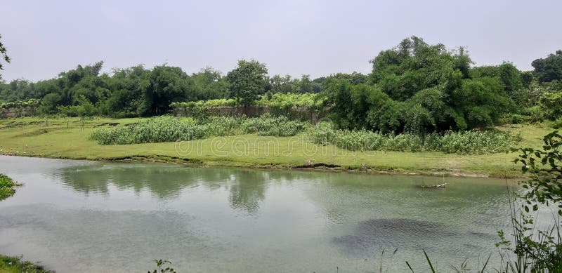 Dead River but Looking Beautiful Mathabhanga Stock Image - Image of ...