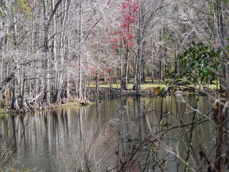 Dead River stock image. Image of bank, beautifuk, magenta - 68629645