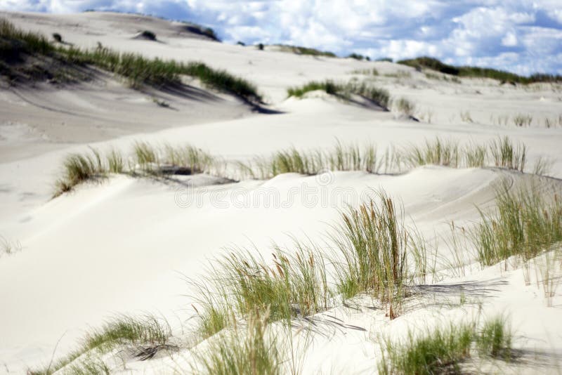 Dead Sand Dunes with Grass stock photo. Image of desertification - 90735954