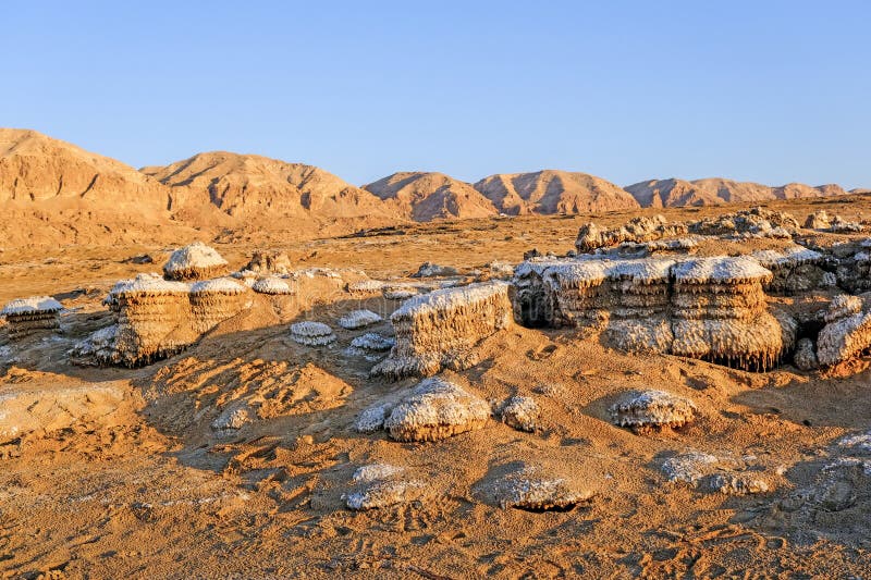 Dead Sea Coast with Stones Covered by Salt Stock Image - Image of sand ...