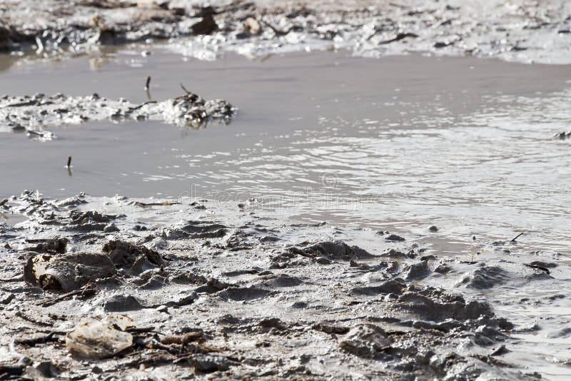 Dead Sea dirt in nature stock image. Image of ecology - 74970145