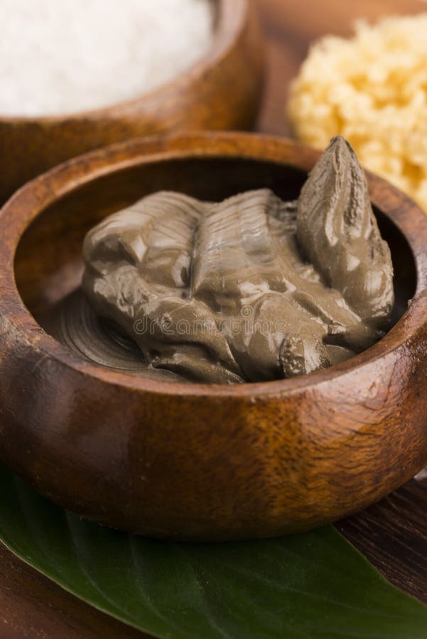 Dead Sea mud stock image. Image of dirt, renew, cure - 50439507