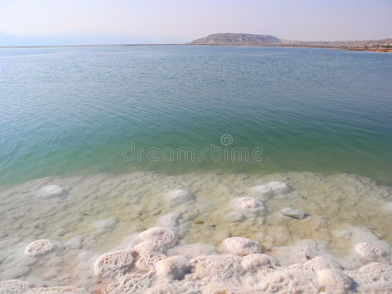 Dead Sea Salt. stock photo. Image of recovery, nature - 79218118