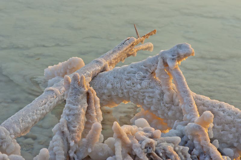 Dead Sea Salt stock image. Image of water, famous, salt - 48468999