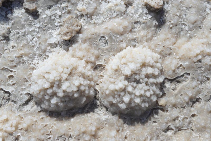 Dead Sea Salt Crystals Mineral Formation Stock Photo - Image of coast ...