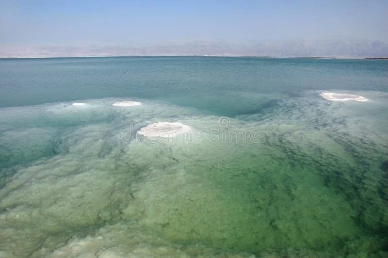 Dead Sea salt formations stock image. Image of geology - 93230509