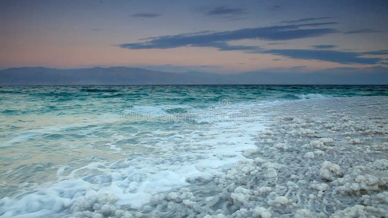 Dead Sea salt. Israel stock video. Video of israel, outdoor - 35634562