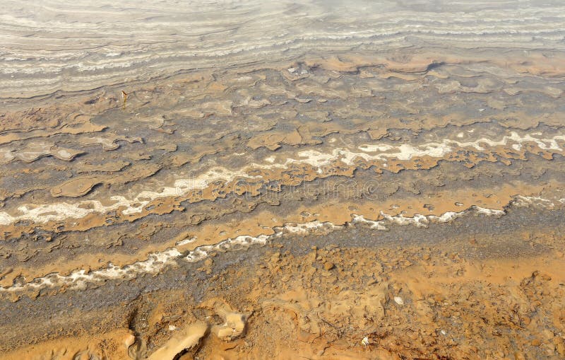 Dead sea salt at Jordan stock image. Image of natural - 50618337