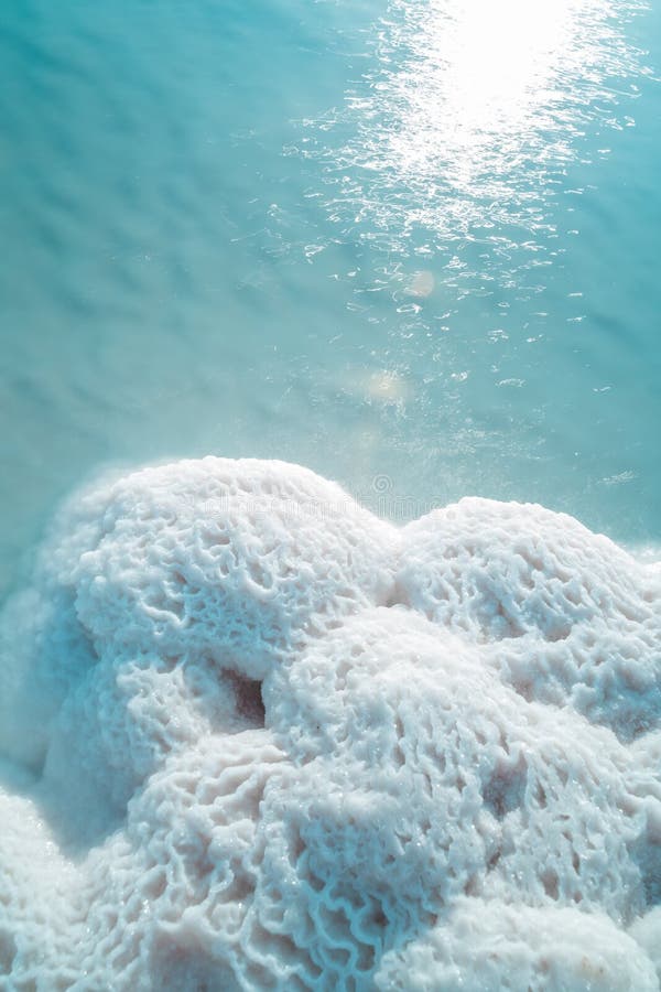 Salt in the Dead Sea stock image. Image of beach, seascape - 8980893