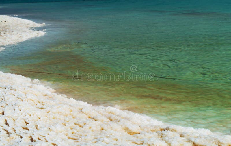 Dead Sea Shore with Clear Water Stock Photo - Image of beach, israel ...