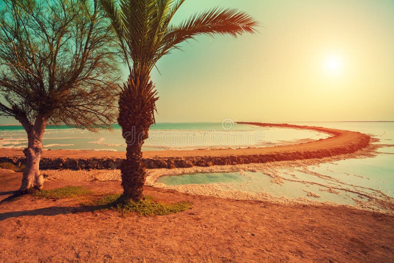 Dead Sea shore stock photo. Image of israel, health, medicine - 63244680